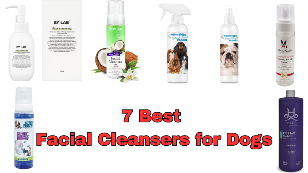 7 Best Facial Cleansers for Dogs in 2024: Pick the Right One ...